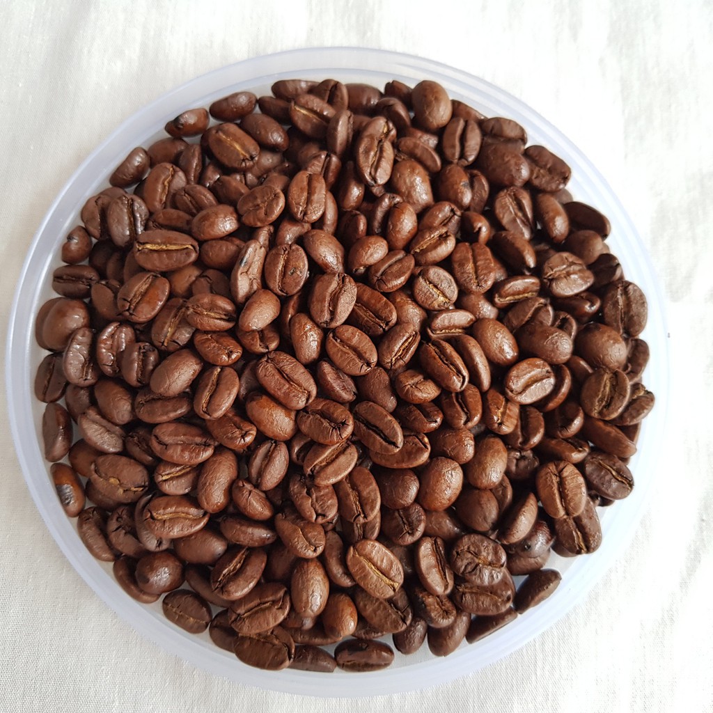 เมล็ดกาแฟปางขอน Arabica 100 ขนาด 500g - nef9w2bsf8 - ThaiPick