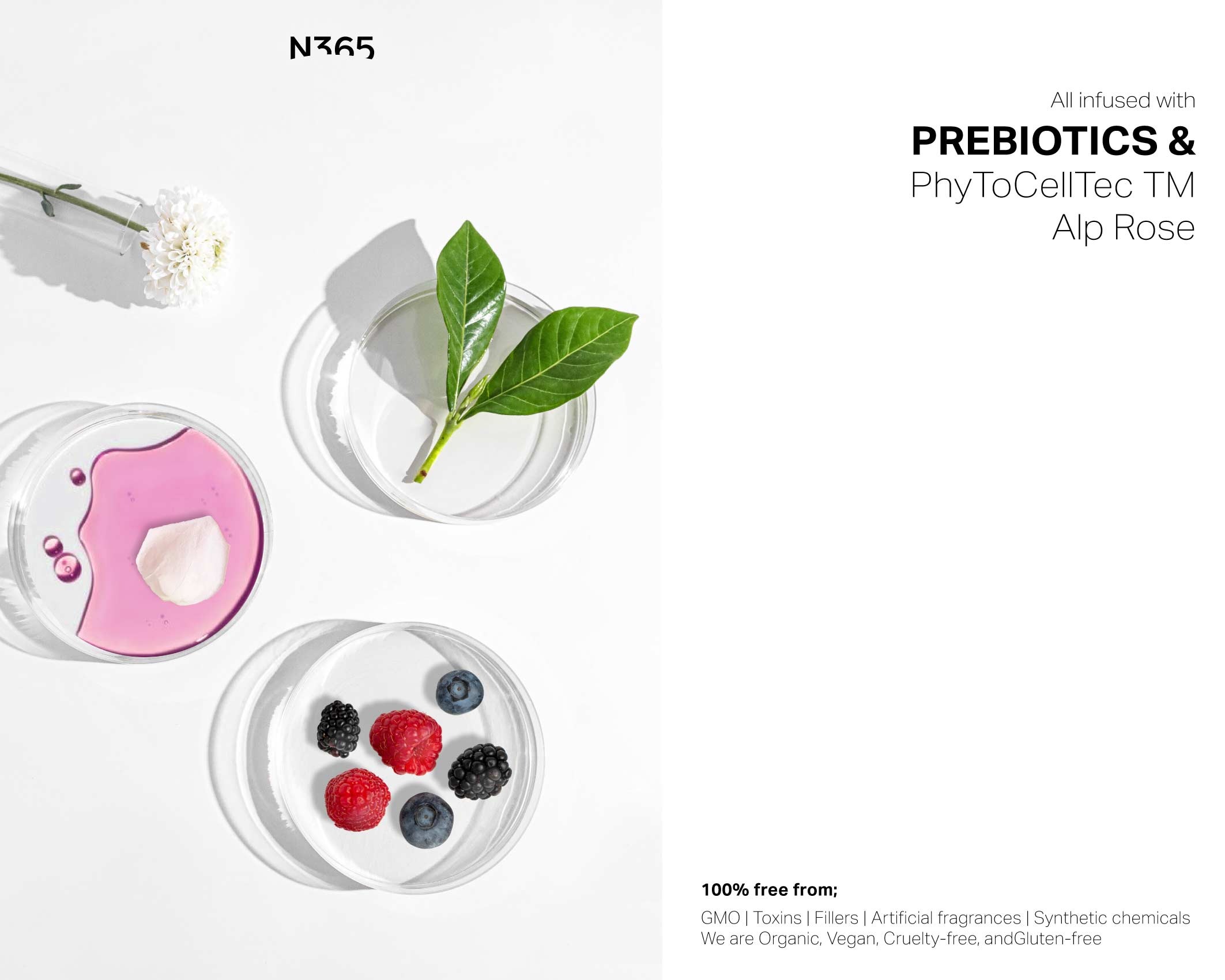 N365 Global, ร้านค้าออนไลน์ | Shopee Thailand