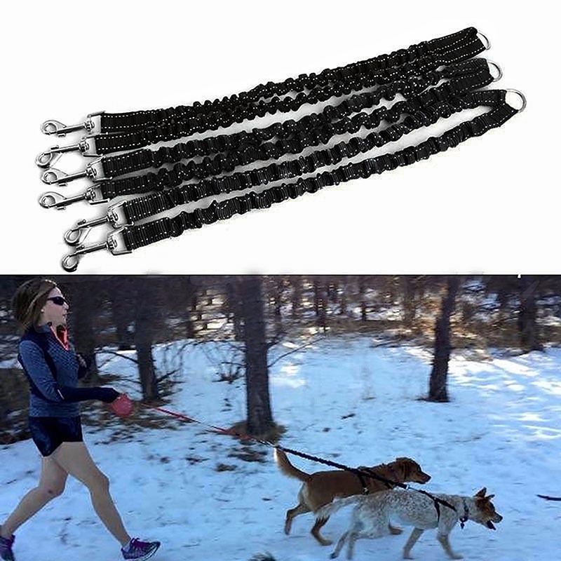 Dogs cats traction rope walking cat ropes proof dog rope chain vest ...