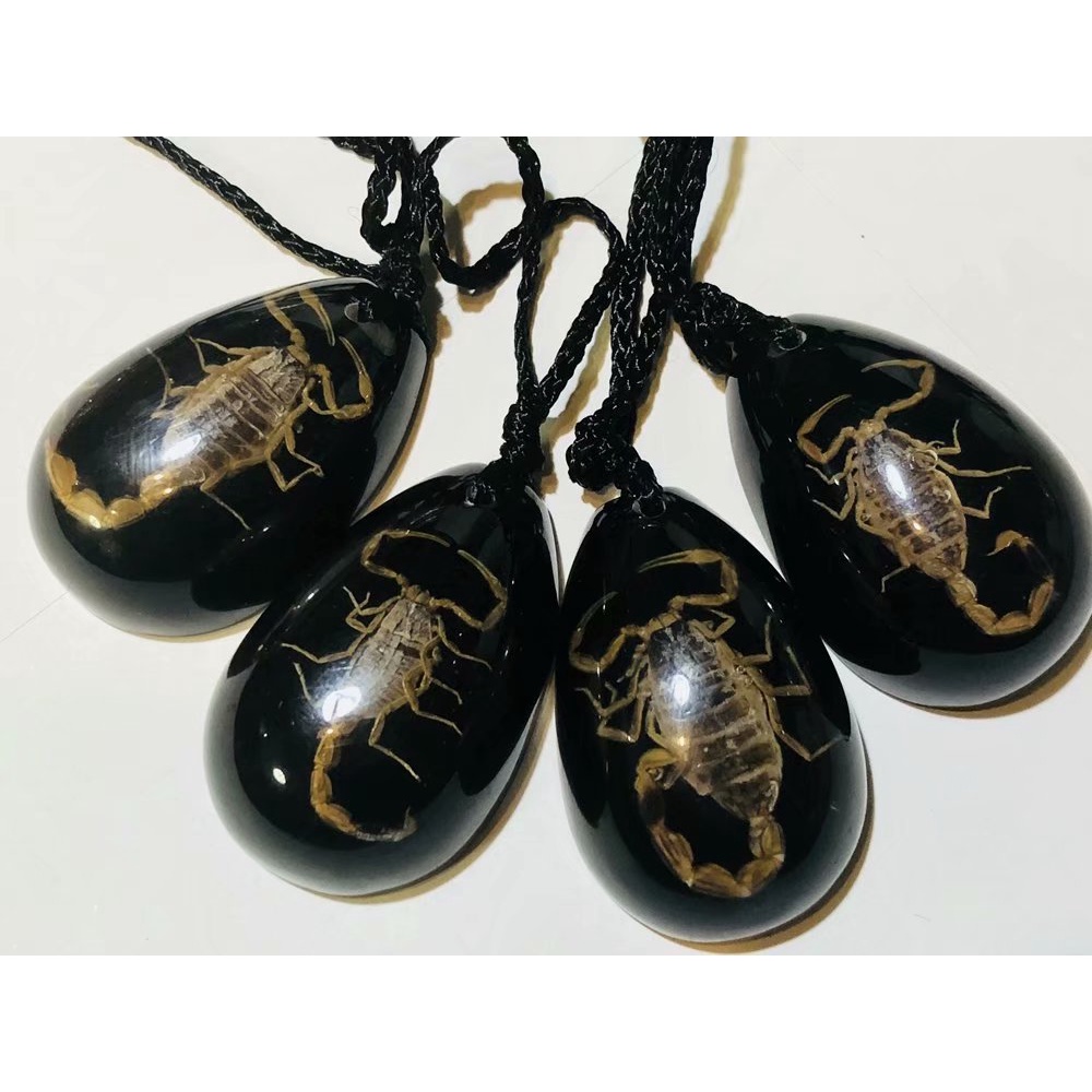 ♀12 pcs Unique Insect Epoxy scorpion เครื่องประดับเล็ก ๆ สีดำอุปกรณ์ ...