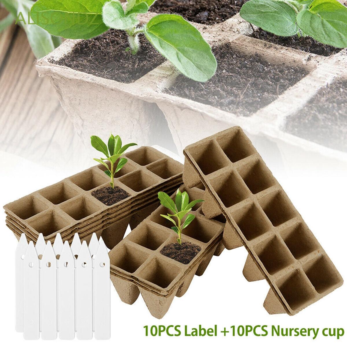 MXGOODS Propagation Nursery Tray Plant Seed Grow Box Seedling Tray Seed ...
