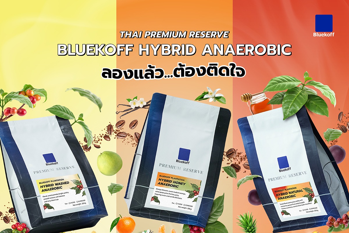 Bluekoff, ร้านค้าออนไลน์ | Shopee Thailand