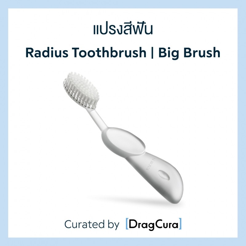 แปรงสีฟัน Radius Toothbrush | Big Brush | Shopee Thailand