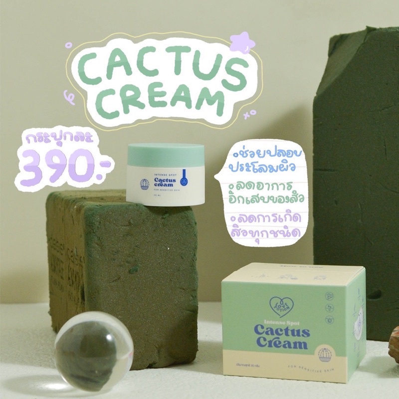 พร้อมส่ง แคคตัสครีม แบบกระปุก สูตรใหม่ ครีมแคคตัส Cactus cream ...
