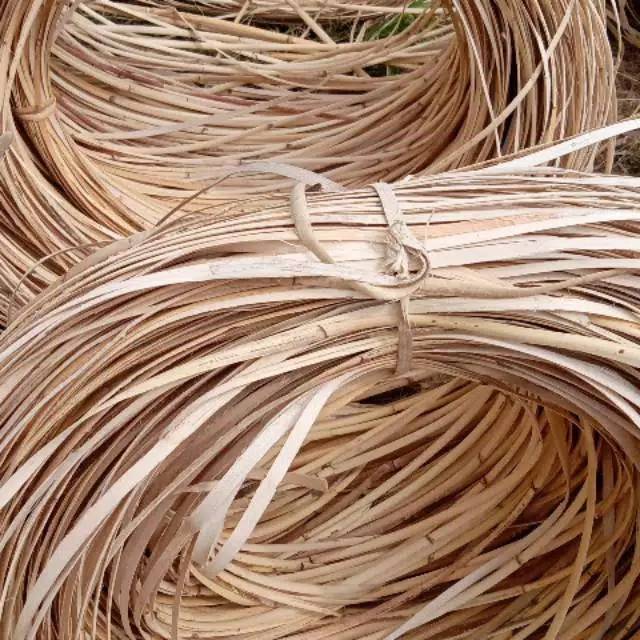 Rotan ถูกที่สุด พร้อมโปรโมชั่น - มี.ค. 2022 | BigGo เช็คราคาง่ายๆ