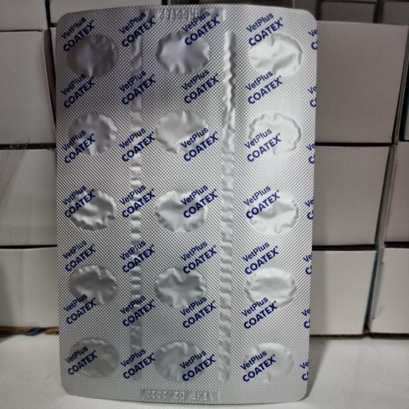 Coatex 60 capsules หมดอายุ 122023 อาหารเสริมบำรุงผิวหนังและขนสุนัขและ ...