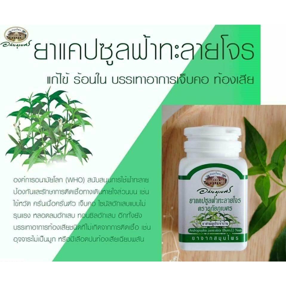 ABHAI ANDRO อภัยภูเบศร แอนโดร ยาแคปซูล สารสกัดฟ้าทะลายโจร 30 แคปซูล อภัยภูเบศร ฟ้าทะลายโจร 400mg ...