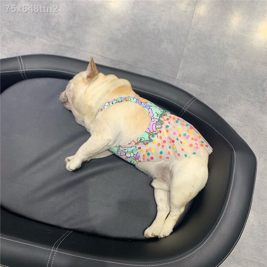 ஐFighting Summer Skirt Pet Dog Pugs One-piece Camisole Skirt Teddy ...