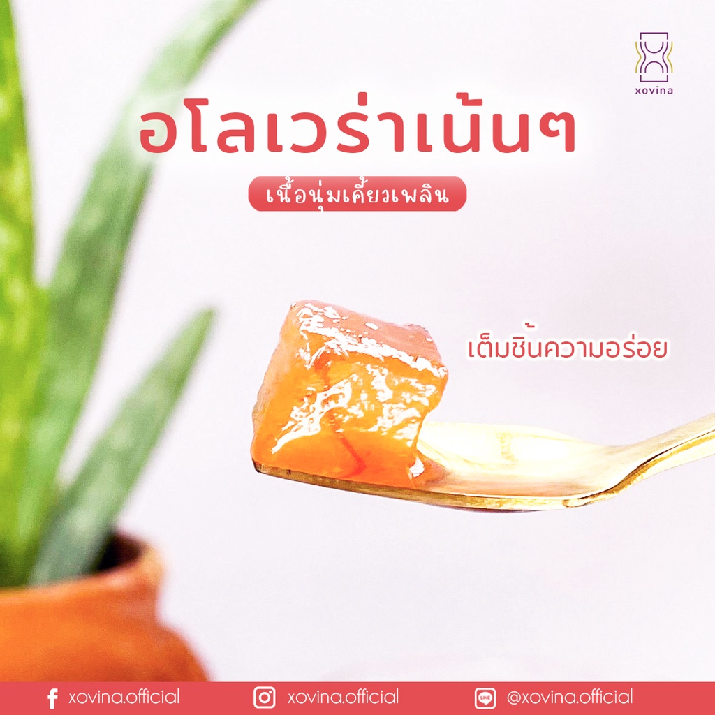 Pack 6 - Xovina RUBY ROSÉ KOMBUCHA โซวิน่า รูบี้โรเซ่คอมบูชะ - xovina.official - ThaiPick