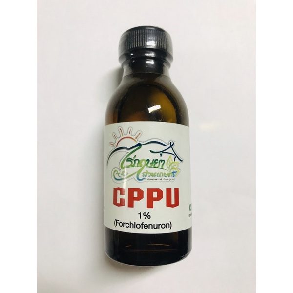 CPPU 1%(Forchlorfenuron) | Shopee Thailand