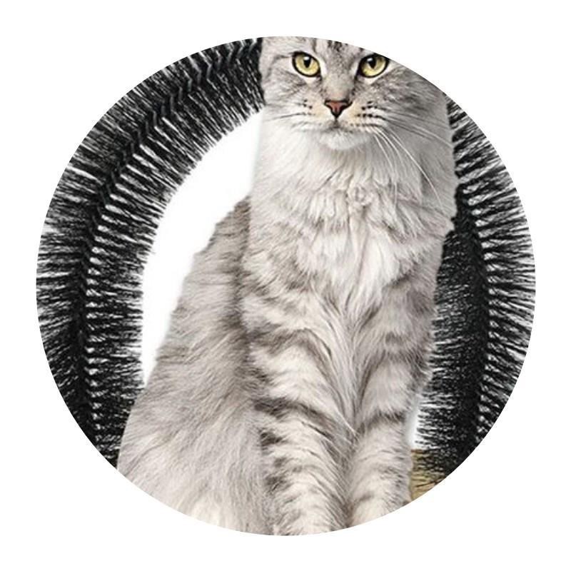ความร้อน cat hair rub an itch is scratch scratchchers Scratching Arch ...