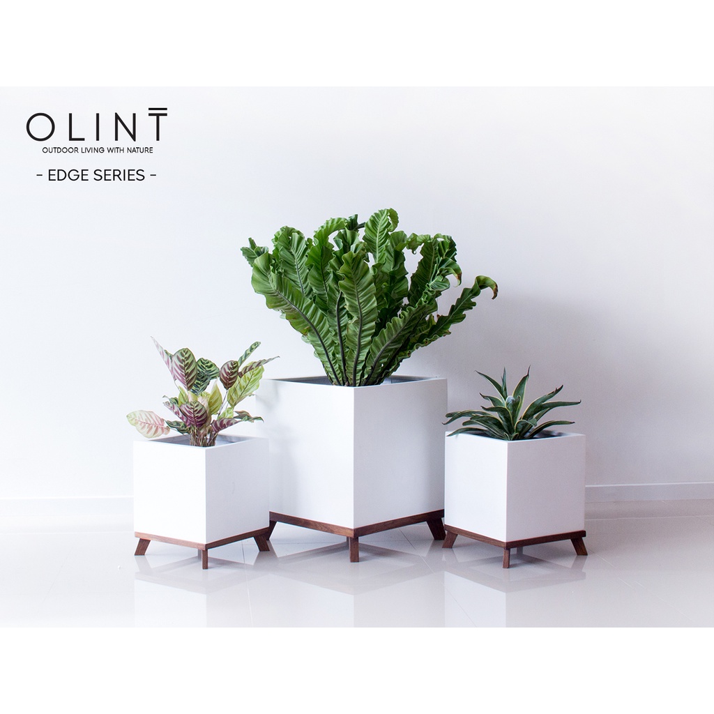 Olint ถูกที่สุด พร้อมโปรโมชั่น - ก.พ. 2022 | BigGo เช็คราคาง่ายๆ