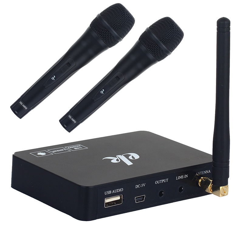 BNEW Wireless Karaoke Microphone Karaoke Player Home Karaoke Echo Mixer ...