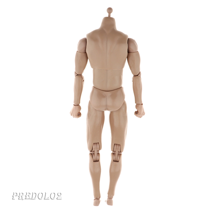 [PREDOLO2] 12 inch Male Body Model Figure 1/6 Male Figure Body Plastic ...