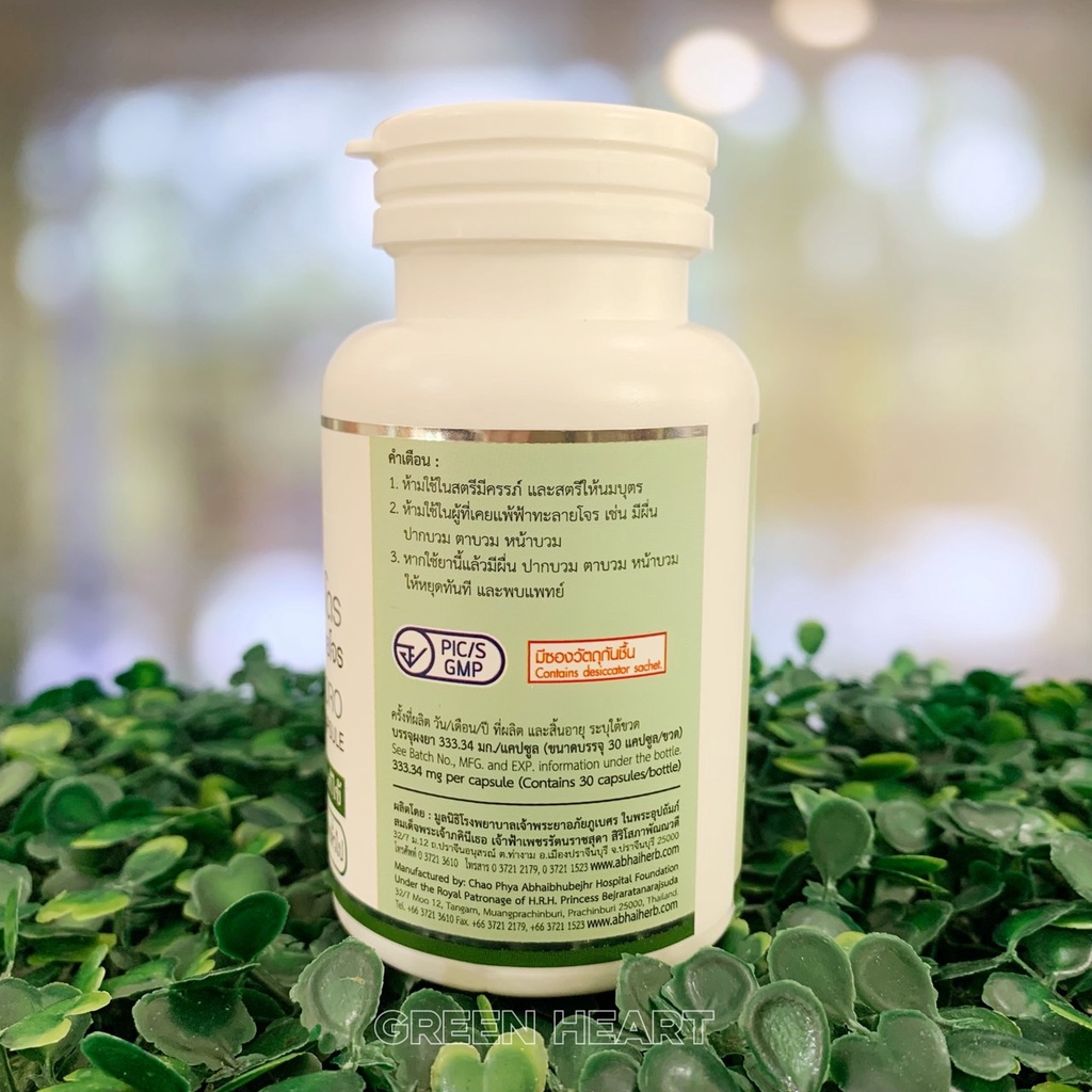 อภัย แอนโดร สารสกัดฟ้าทะลายโจร Abhai Andro Andrographis Extract Capsule (บรรจุ 30 แคปซูล) 1 ...