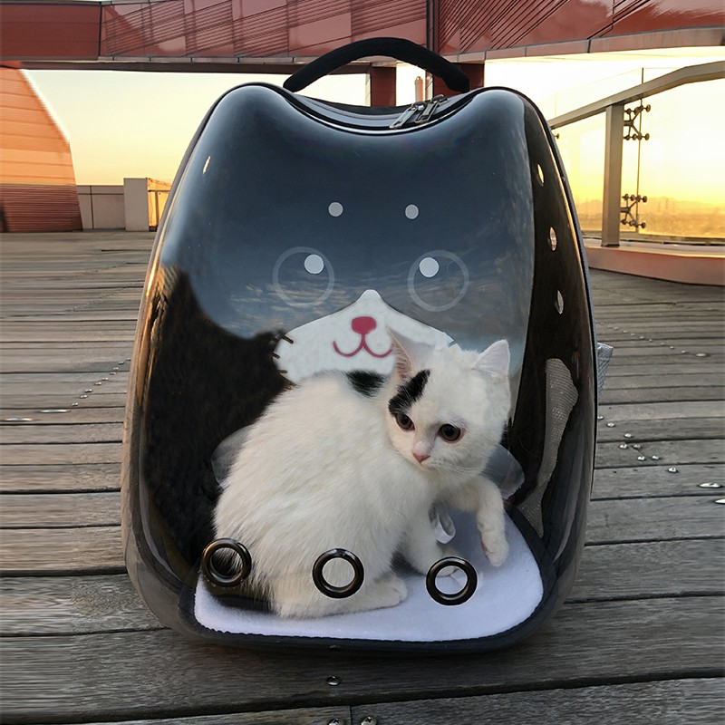Cat bag to go out portable space capsule dog pet carry backpack กระเป๋า ...