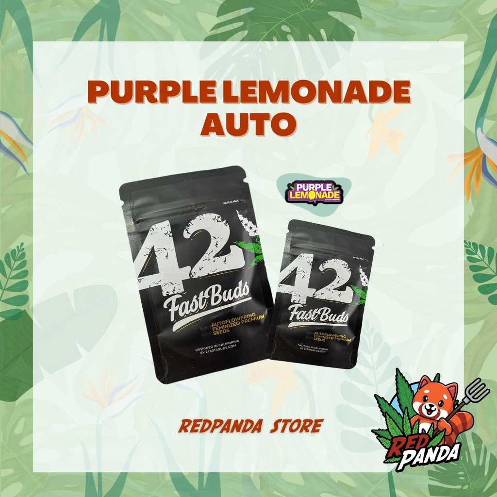 Fastbuds เมล็ดพันธุ์ Cherry Cola Auto เมล็ดกัญชานอก เมล็ดกัญชาค่าย ...