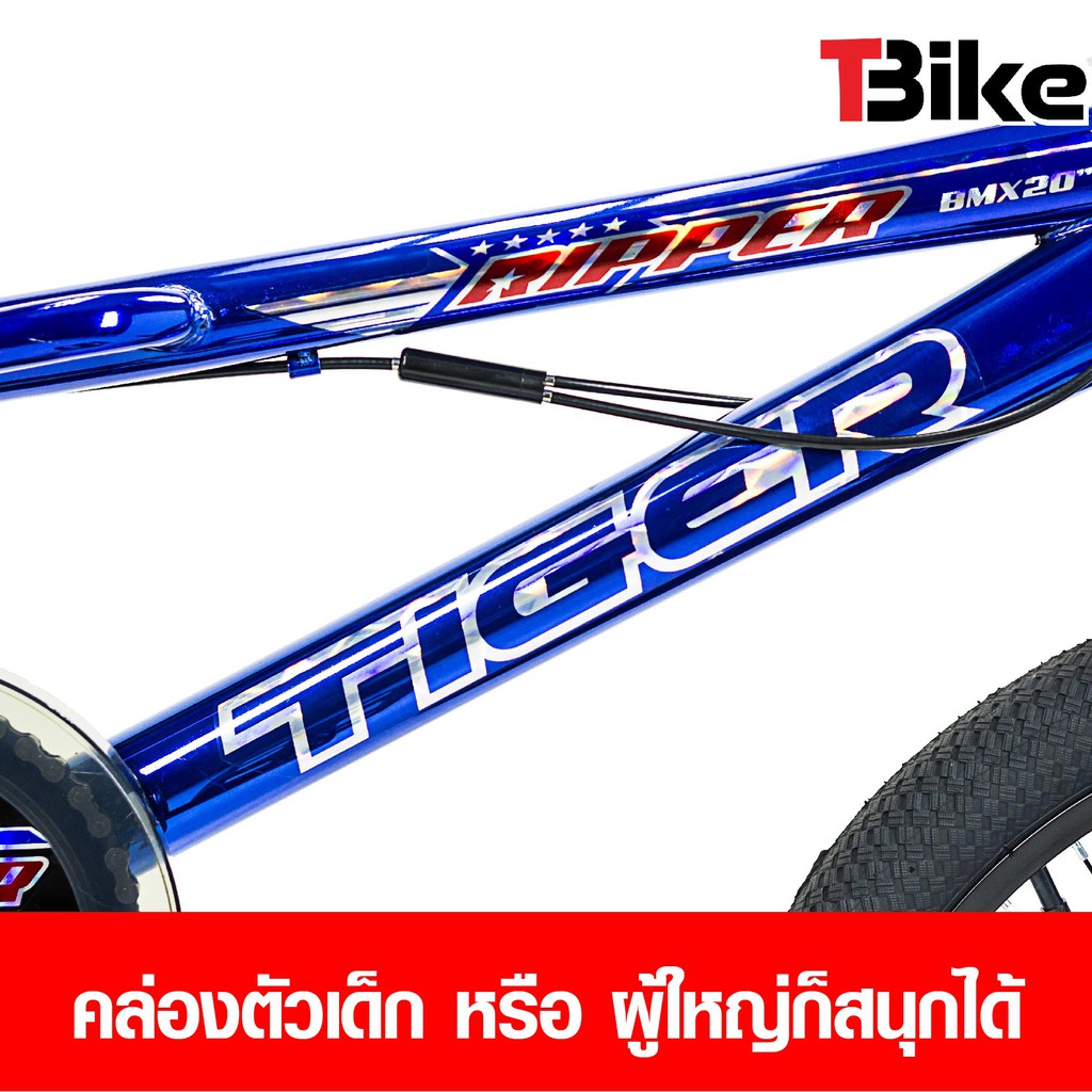 TIGER RIPPER BMX 20'' จักรยาน BMX ล้อใหญ่ มีดิสเบรคหน้า-หลัง คอโรเตอร์ ...