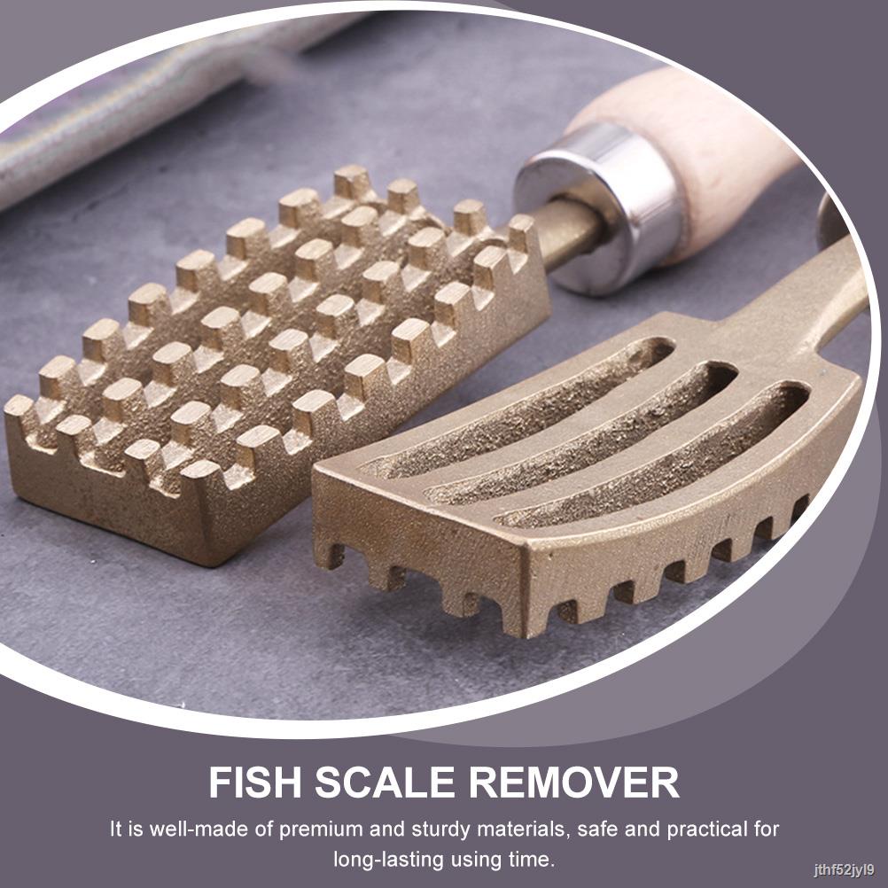 Stainless Steel Scale Scraper: Japanese Scaler Brush with Wooden Handle ...