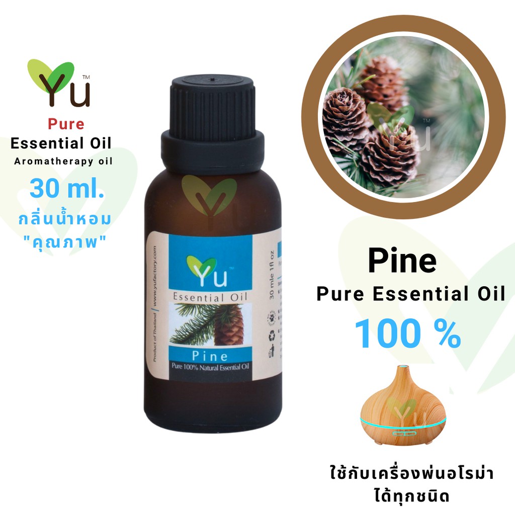 30 ml.100 Pure Pine Essential Oil กลิ่นสน น้ำมันหอมระเหย กลิ่นสกัดจาก ...