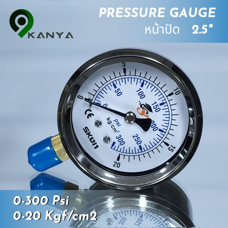 Pressure Gauge 20 kgfcm2 300 PSI เกจวัดแรงดัน หน้าปัด 2.5 - 9_kanya ...