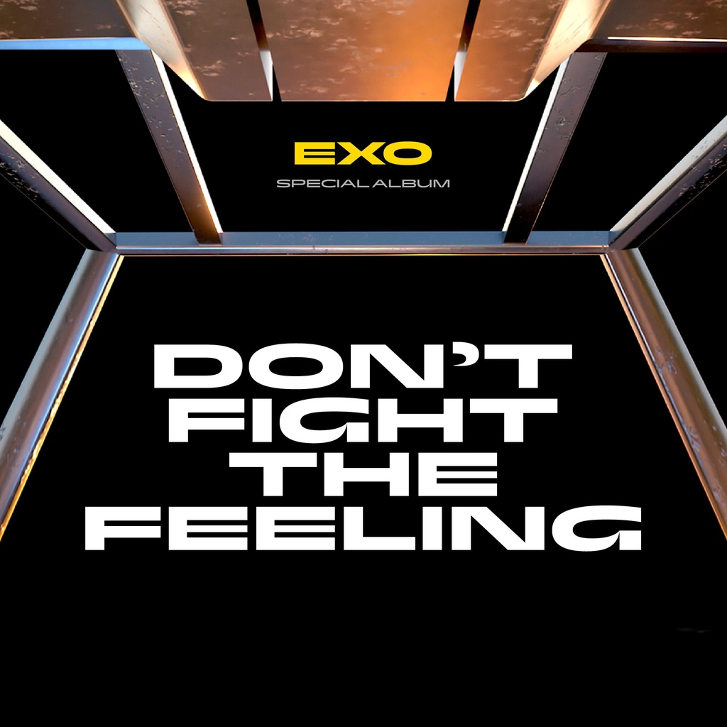 พร้อมส่ง มีโปสเตอร์ EXO - DONT FIGHT THE FEELING - skoreashop - ThaiPick