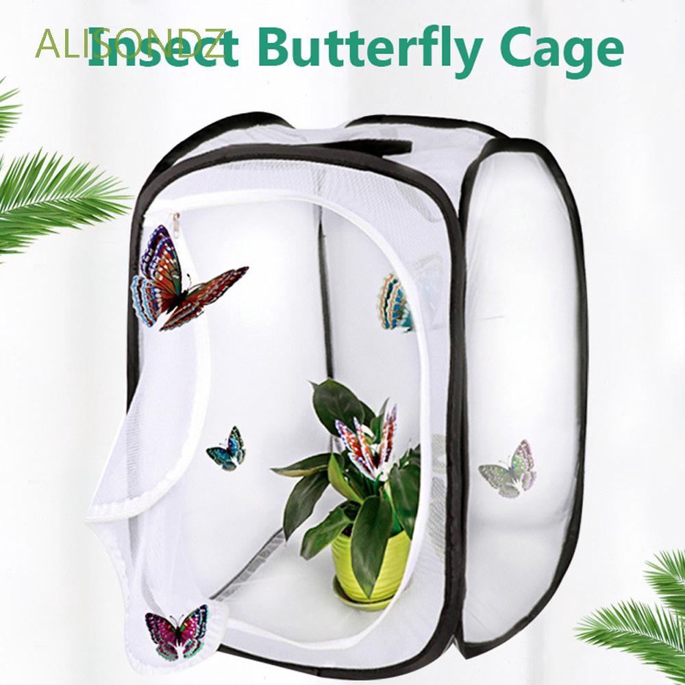 ALISONDZ Mantis Incubator Pet Supplies Farm Housing Enclosure Insect ...