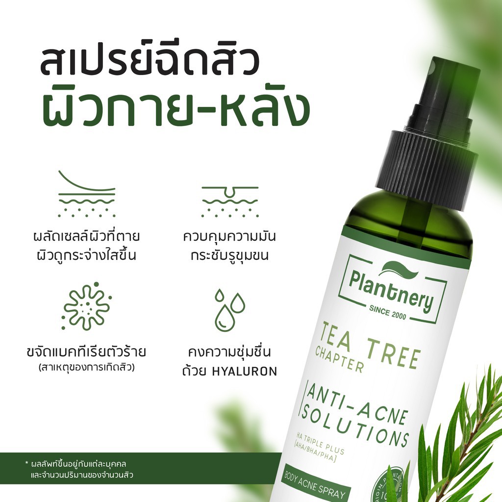 Plantnery Tea Tree Body Acne Spray 120 Ml - allaboutyou_officialshop ...