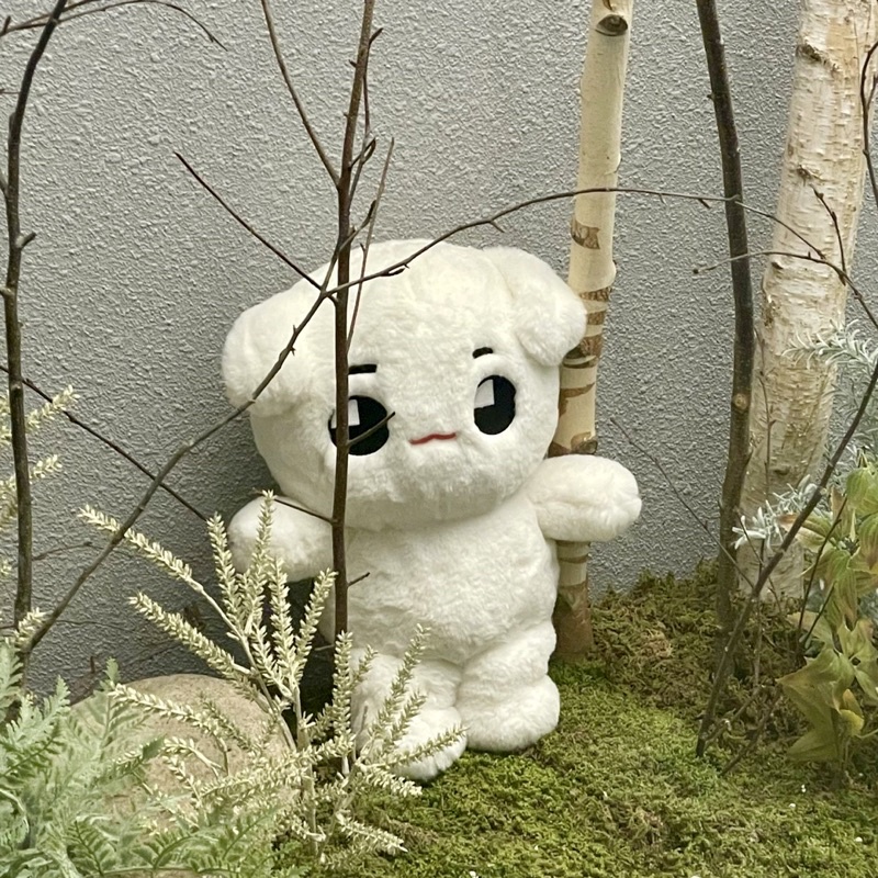 พร้อมส่ง ทยงย่า ( tyongya ) 40cm ตุ๊กตาแทยง ตัวใหญ่จุใจ น้องอ้วนตุ้บ ...