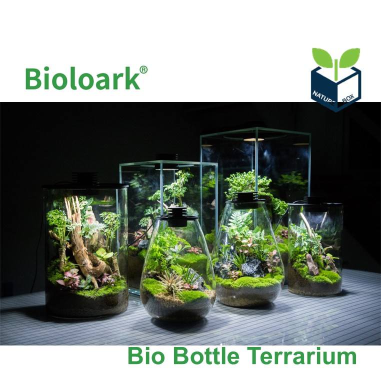Bioloark PD Series (Biolark) (มีสินค้าพร้อมส่ง) ไบโอลาร์ค โหล Terrarium ...