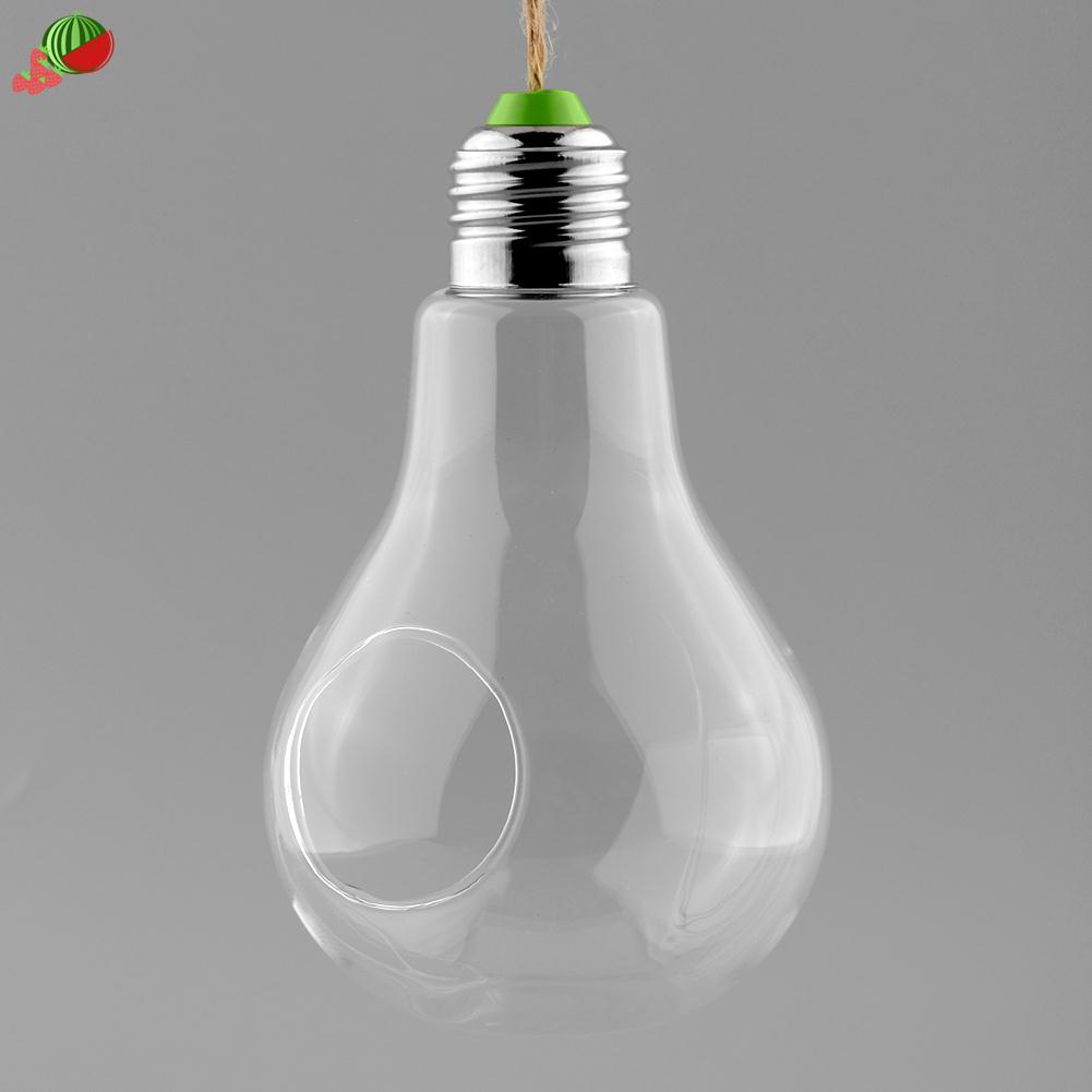 MAR Glass Candle Holder Water Plant - marguerite.th - ThaiPick