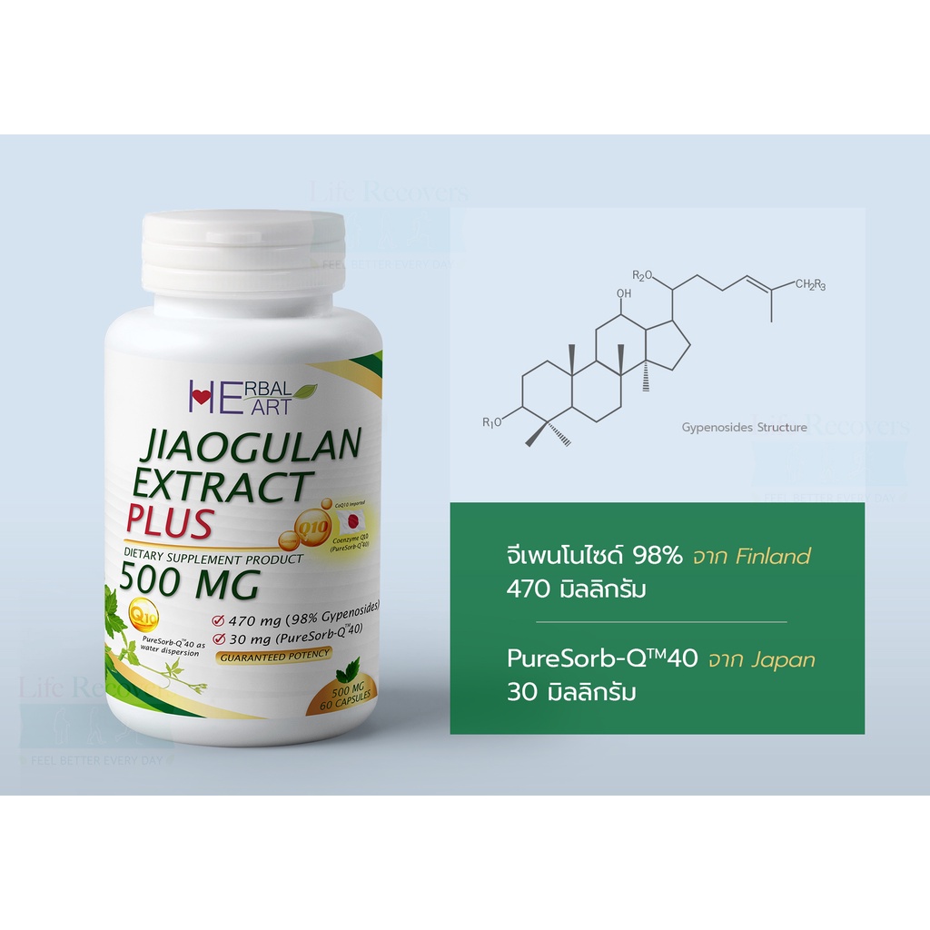 Liferecovers. Jiaogulan Extract Plus เจียวกู่หลาน สกัด พลัส | Shopee ...