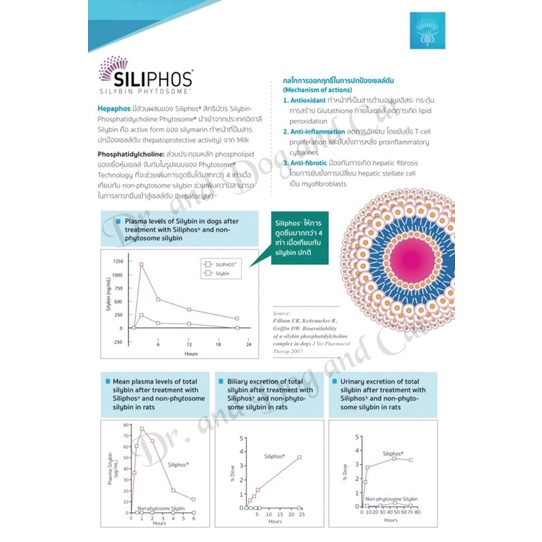 Hepaphos Liver Support à¹€à¸®à¸›à¸žà¸²à¸Ÿà¸­à¸ª à¸¢à¸²à¸šà¸³à¸£à¸¸à¸‡à ...