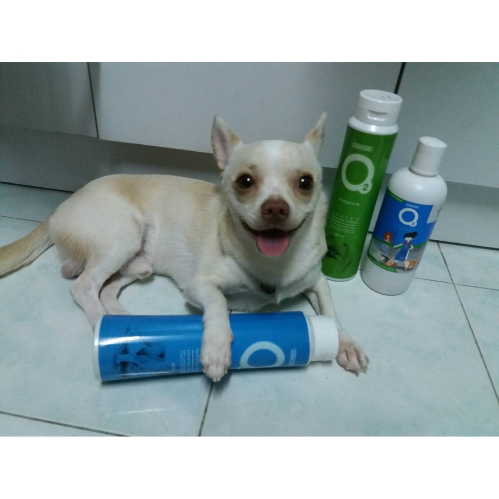 โปรแรงสุด O2 Fresh Gallon อ่อนโยนแม้ผิวแพ้ง่าย ลดฮีสโตรก ให้ความเย็น ...