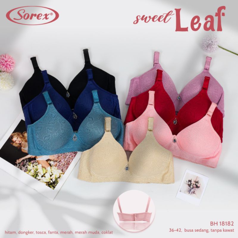 Bh SOREX โฟมไม่มีสายไฟ 18182 - nemanja.yanik.th - ThaiPick