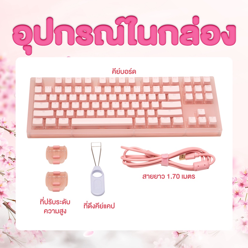 คีย์บอร์ด AKKO รุ่น Sakura Jelly RGB TKL 87% เคสอะคริลิค สีชมพู Gateron ...