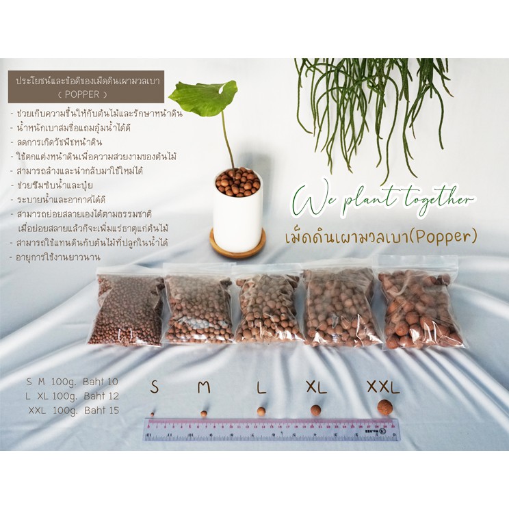 เม็ดดินเผามวลเบา POPPER | Shopee Thailand