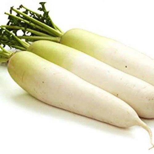 จุดประเทศไทย Radish 3grams 210-250 pcs Snow White Vegetables Seeds ...