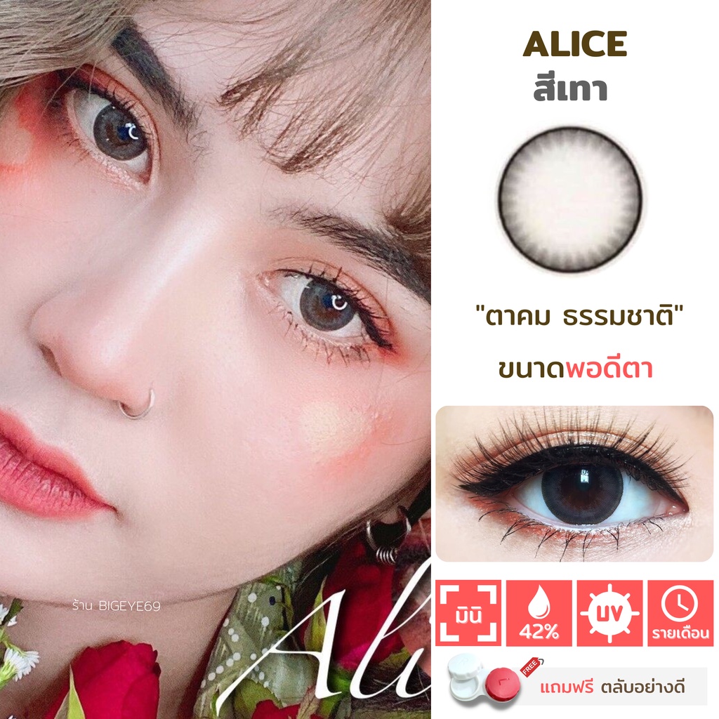 (mini) Alice Gray คอนแทคเลนส์ Wink - optixmoon - ThaiPick