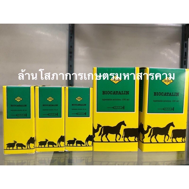 ไบโอคาตาลิน ถูกที่สุด พร้อมโปรโมชั่น ต.ค. 2022|BigGoเช็คราคาง่ายๆ