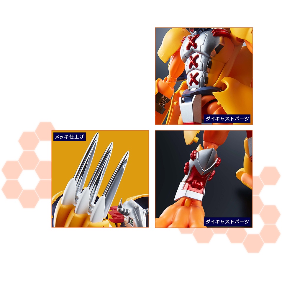 Digimon Adventure Digivolving Spirits 01 Agumon to WarGreymon(ดิจิม่อน ...