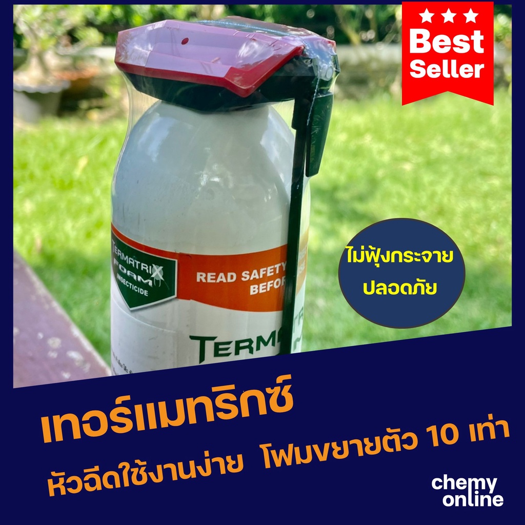 Termatrix Foam เทอร์มาทริกซ์ โฟม โฟมกำจัดปลวก ฆ่าปลวก ขนาด 500 กรัม - chemyonline - ThaiPick