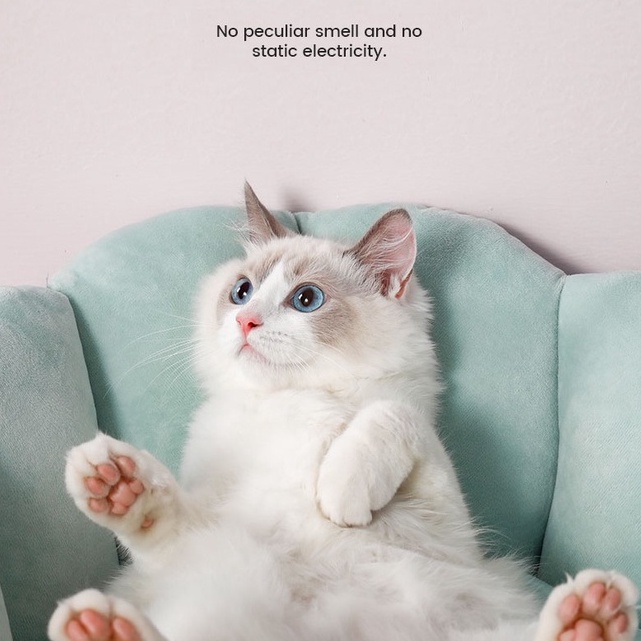 สินค้าใหม่ Rabbit Selection Pet Petshy(เพ็ทชี่) shell cat bed ที่นอน ...