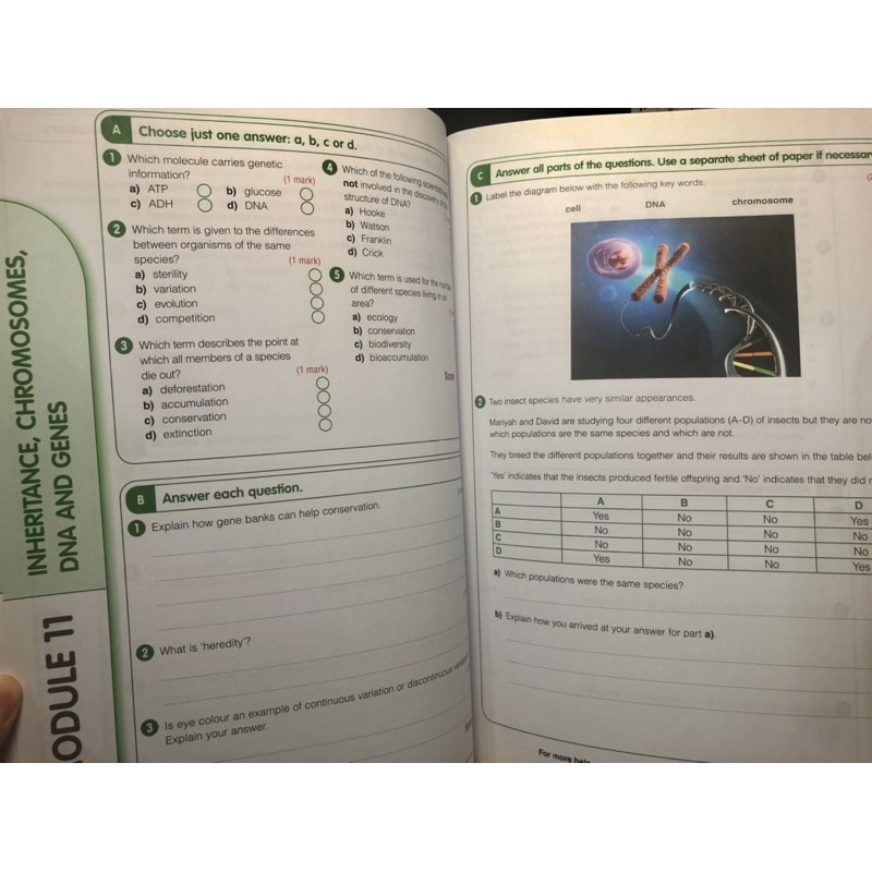 SALE-50% KS3 Science Workbook (Letts KS3 Revision Success) แบบฝึกหัดวิชาวิทยาศาสตร์ มัธยมต้น ...