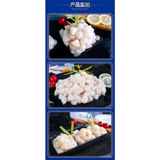 chinese dried scallop Freshly Peeled Raw Juice Fresh Shellfish Scallop ...