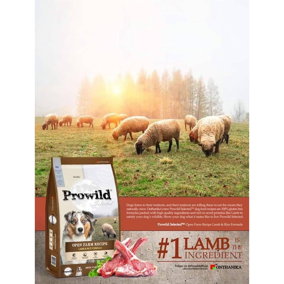 Prowild Dog food 15kg. Holistic grade อาหารสุนัขโปรไวล์ 15กก. อาหาร ...