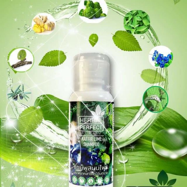 แชมพูสมุนไพร harbel perfect by waru - gang.w - ThaiPick