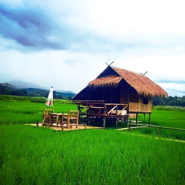 pucca_pam, ร้านค้าออนไลน์ | Shopee Thailand