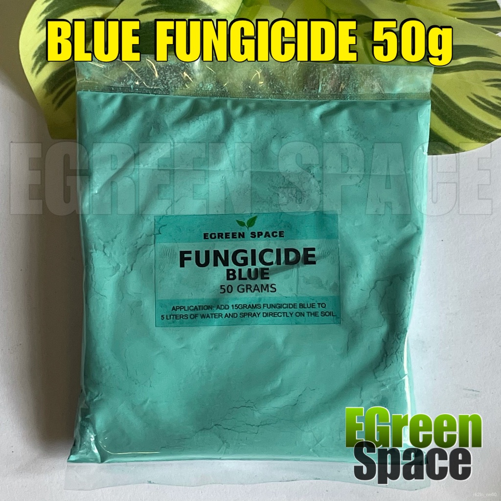 จุดประเทศไทย BLUE FUNGICIDE - 50gramsเมล็ดอวบอ้วน 100 รอคอยที่จะให้ความ ...