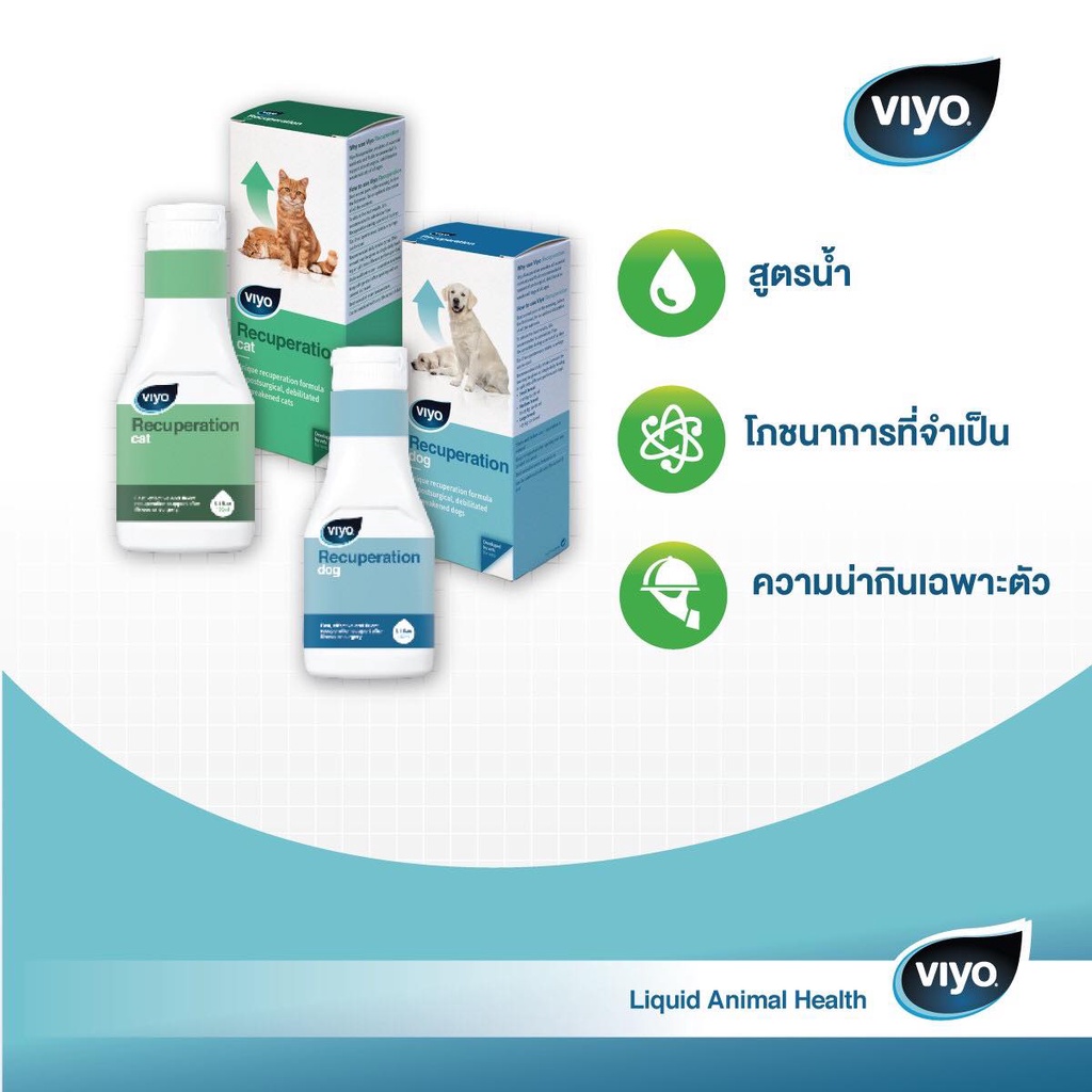 (ของแท้) Viyo Recuperation Dog วีโย่ รีคิวเพอเรชั่น สำหรับสุนัข สูตรน้ำ ...